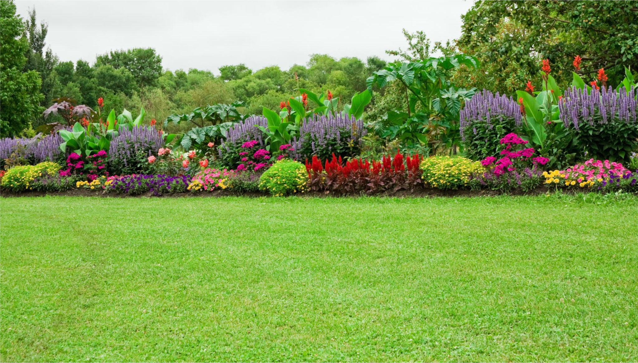 Wallco växtnäring vid skötsel av offentliga planteringar, bostads- och ...